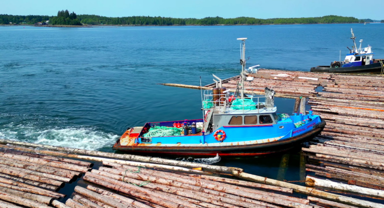 Watch 5 Tugboats Escort An Absolutely ‘Colossal’ Log Boom Near Rupert ...