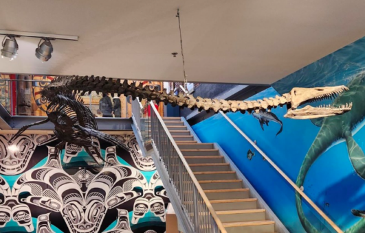 Meet BC’s Newest Provincial Symbol: A 80-million-year-old Dinosaur ...